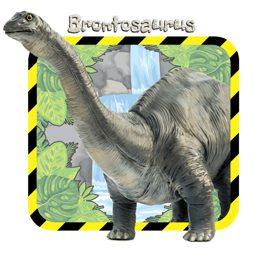 Skegness Aquarium - Skegness Aquarium